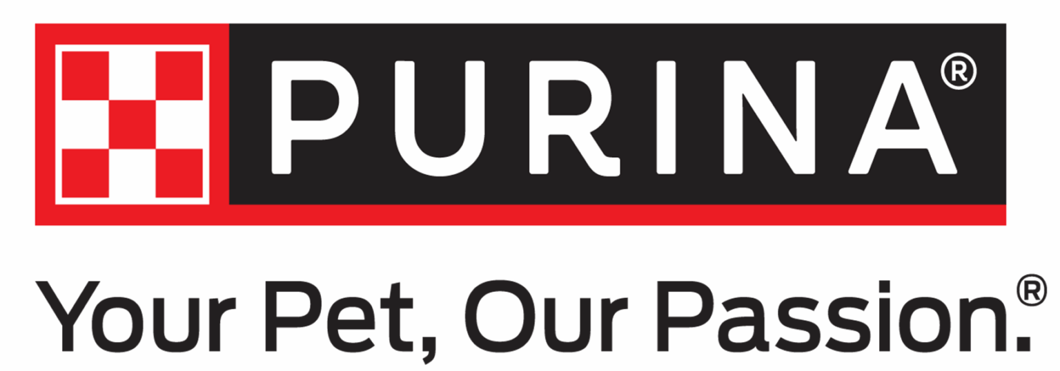 The Rise of Environmentally Conscious Consumers: CX Reimagined for ...